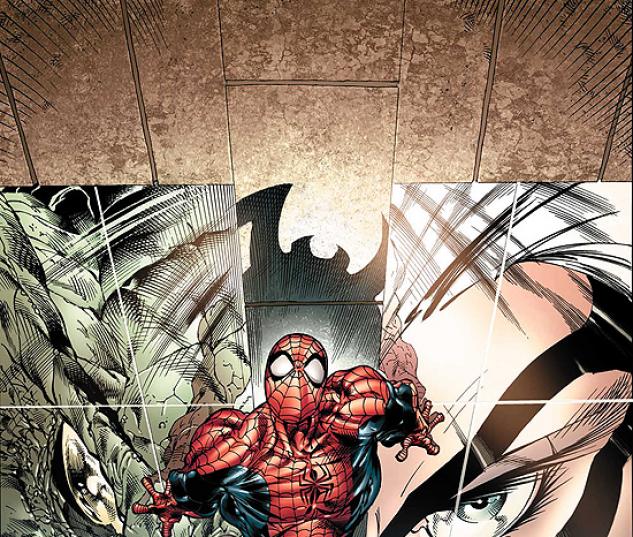 Sensational Spider-man (2006) #24 