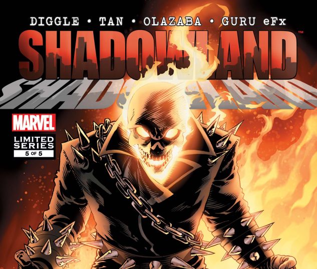 Shadowland (2010) #5 | Comic Issues | Marvel